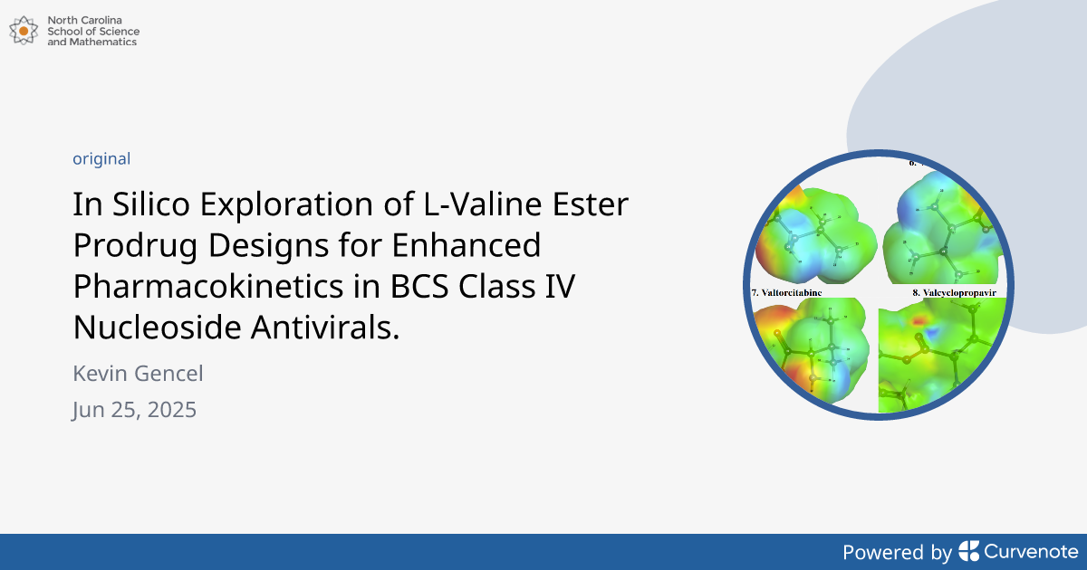 In Silico Exploration of L-Valine Ester Prodrug Designs for Enhanced ...
